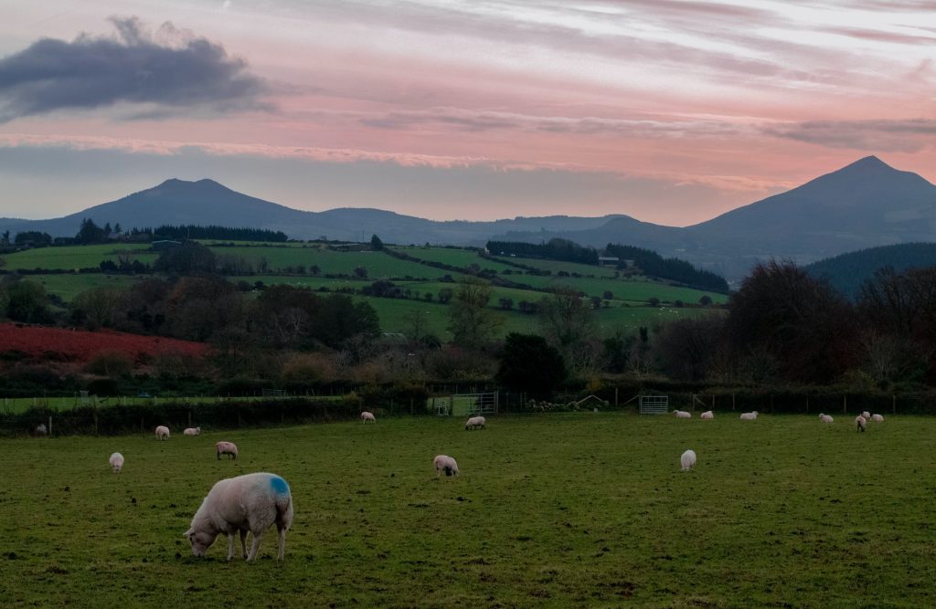 Geography and Climate of Ireland - Kiwi Education Ireland